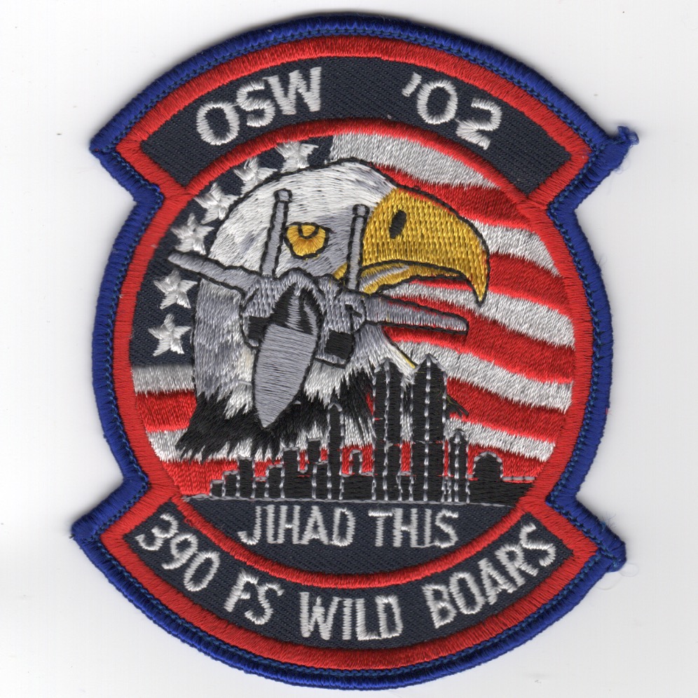 US Air Force Collectibles