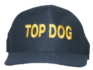 AV8R Stuff - US NAVY TOPGUN Ballcaps